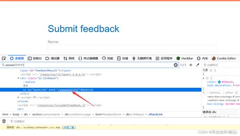 【burpsuite安全练兵场 客户端11】跨站点脚本xss 10个实验（下）burpsuite可以运行脚本吗 Csdn博客