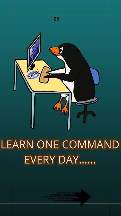 Learn One Command Every Day 25 Linuxtutorial