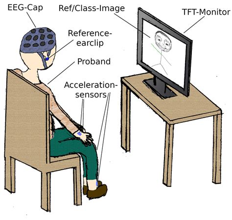 Schematic Figure For The Experimental Setup Download Scientific Diagram