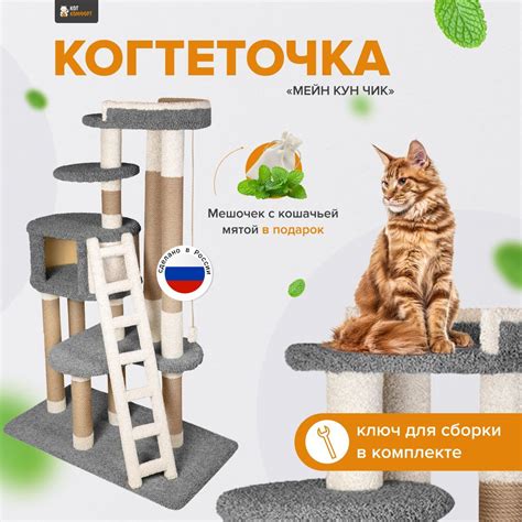 Игровые комплексы для кошек купить на OZON по низкой цене