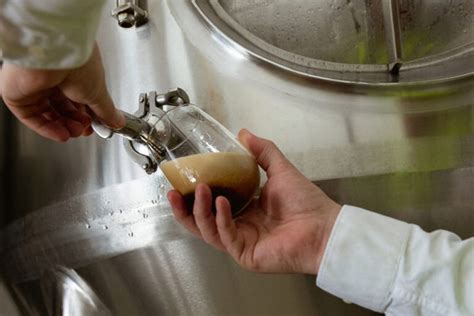 Commercial Brewing Equipment Selection Guide