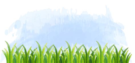 Premium Vector Background Template With Green Grass