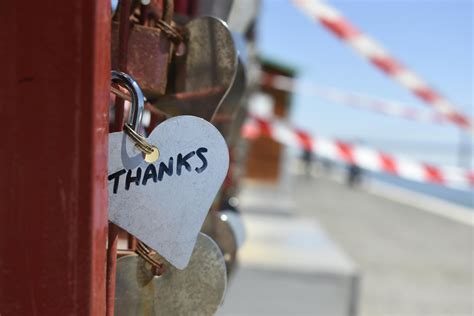 4 000 ảnh đẹp Nhất Về Thank You · Tải Xuống Miễn Phí 100 · Ảnh Có Sẵn Của Pexels