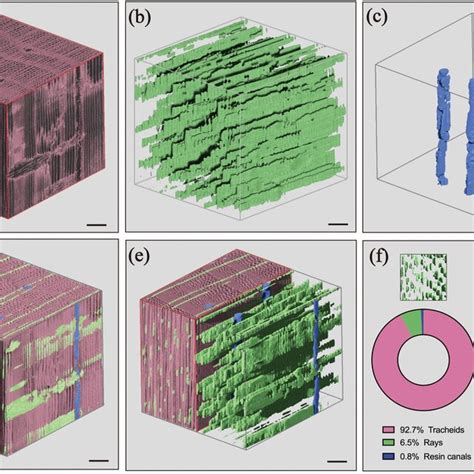 3d Reconstruction Of Masson Pine On Quantitative Analysis With A Voxel