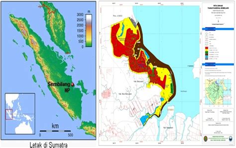 Flora Dan Fauna Taman Nasional Sembilang Dtechnoindo
