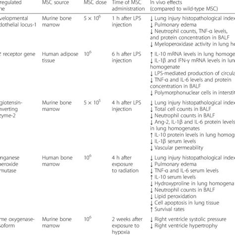 Gene Therapy Approaches To Improve Msc Potency In Lung Diseases
