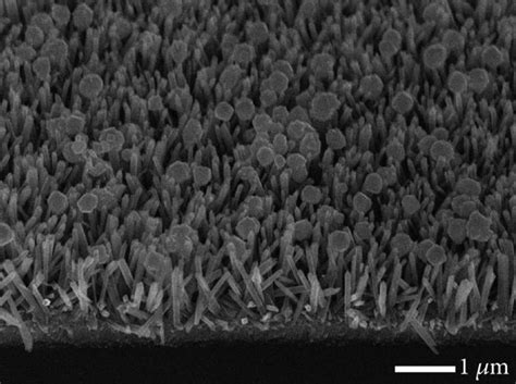 A B SEM Images Of TiO2 NR Arrays C SEM Images Of TiO2 PbS Download Scientific Diagram