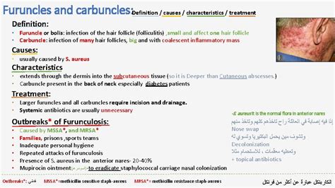 Objectives 1 Describe The Anatomical Structure Of Skin