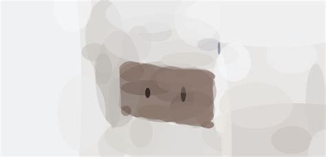 Activewear Vs Sportswear ORYX