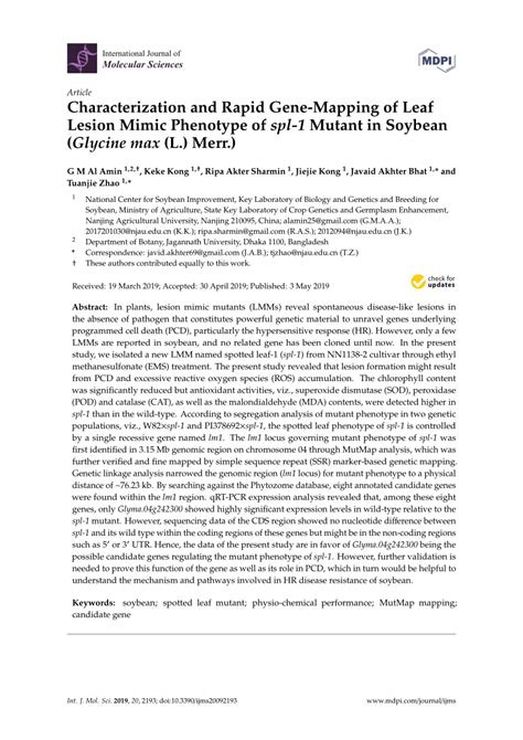 Pdf Characterization And Rapid Gene Mapping Of Leaf Lesion Mimic