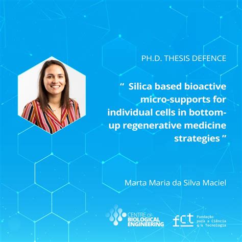 Marta Maria Da Silva Maciel Silica Based Bioactive Micro Supports For Individual Cells In