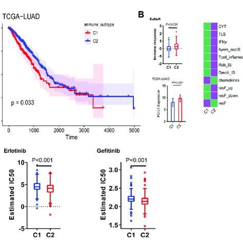 A Prognostic Value Of Both Immune Subtypes C1 Subtype Had Poor Download Scientific Diagram