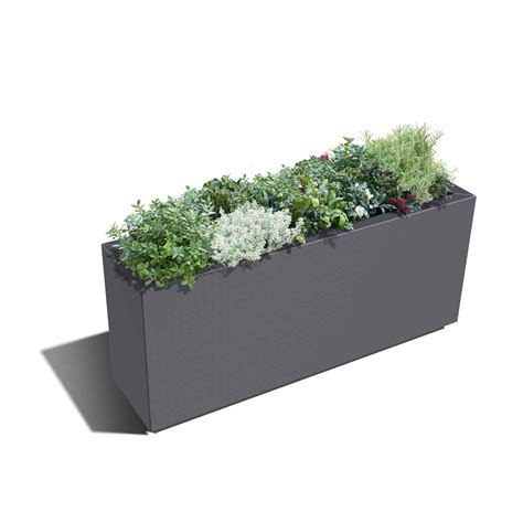 Rectangle Metal Planter In Anthracite Grey Harrod Horticultural
