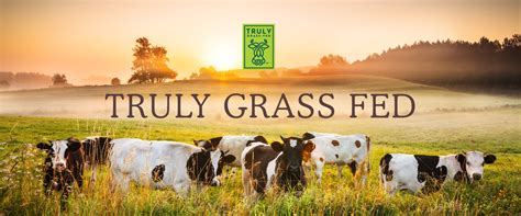 Truly Grass Fed Garden Of Life