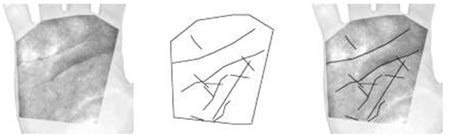 2d Feature Extraction And Matching Download Scientific Diagram