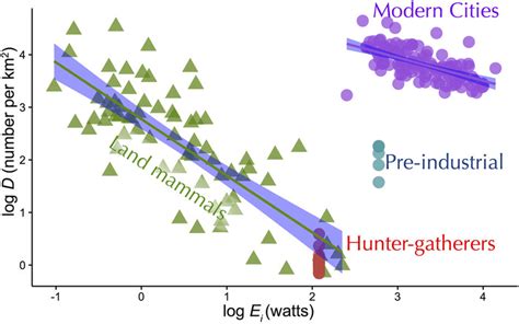 The Log Of Population Density D As A Function Of Log Individual Download Scientific Diagram