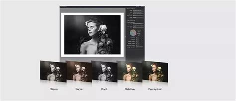 Epson Print Layout Software Epson Australia
