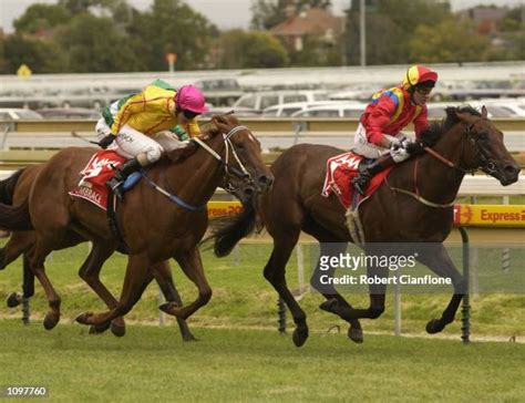14 Wayne Treloar Photos And High Res Pictures Getty Images