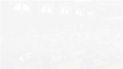 Margo Wainwright Posted On Linkedin