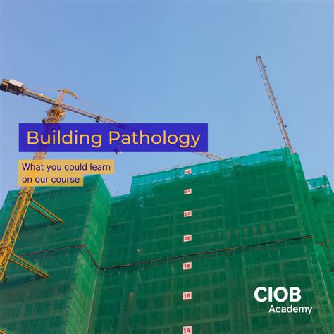 Ciob Ciobacademy Buildingpathology Constructioninsights