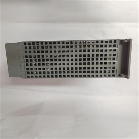 ICS TRIPLEX T8111C Runsheng Automation