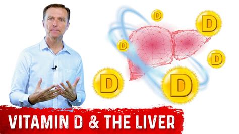 Vitamin D Deficiency Liver Function Test At Randy Stambaugh Blog