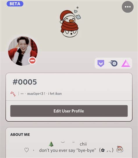 ⤙ ˂ ） 🎄 ⌣ Pfp Bio ﹒ 🎅 ⧆ Discord Layout Discord User Profile Save
