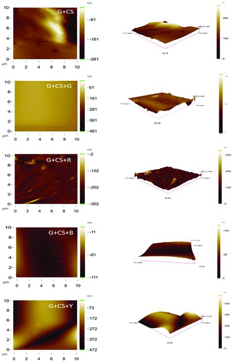 Typical Afm Images Showing The Two Dimensional Structure Of Afm Images
