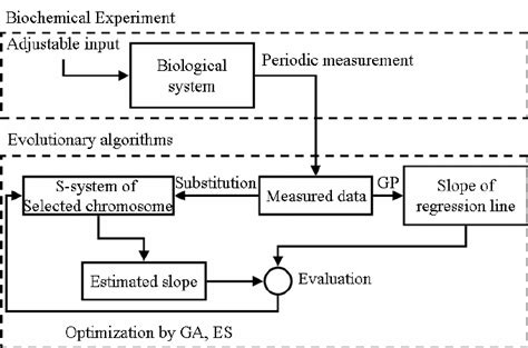 The Whole Proposed Multi Stage Evolutionary Algorithm For The Download Scientific Diagram