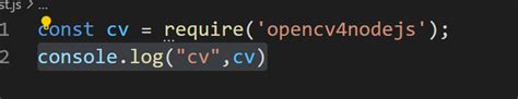 Problems With Npm Install Save Opencv4nodejs · Issue 717