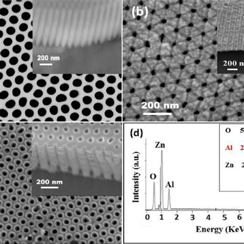 Structural Characterization Of Znozns Coreshell Nanotube Array A Download Scientific