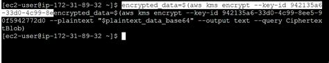 A Comprehensive Guide To Utilizing Aws Key Management Service Kms For Data Encryption And