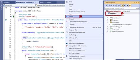 C How To Publish ASP NET Core Web API In NET To Azure If It Expects Startup Cs File
