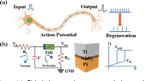 figure 1 from understanding the degeneration of neurons from nbox based