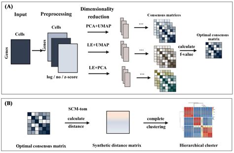 mathematics free full text scm enables improved single cell
