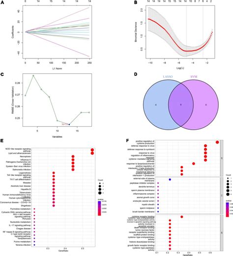 Construction And Validation Of The Least Absolute Shrinkage And
