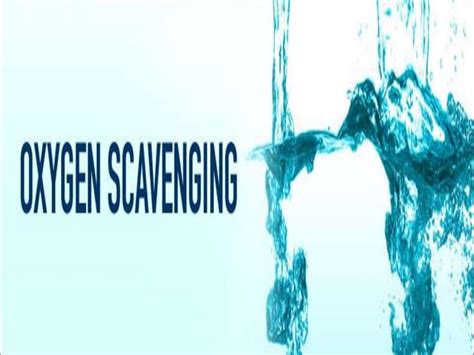 Ppt On Active Packaging Pptx