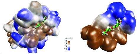 Compound 2 In The Binding Cavity Of Pparγ Visualized Using Hydrophobic