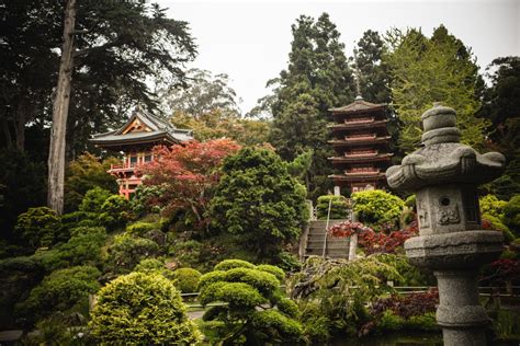 Green Tea Garden San Francisco At James Saavedra Blog