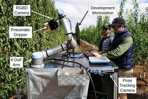 The Plum Harvesting Platform Including A 6 Dof Robotic Arm Rgbd