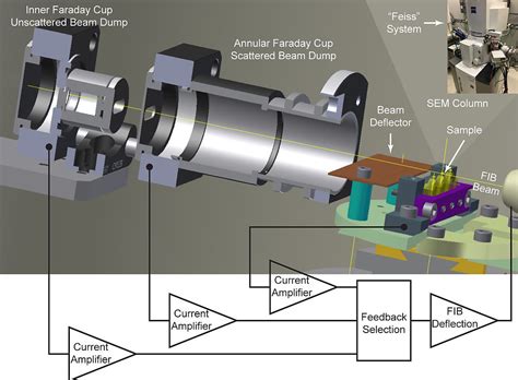 fib sem at the advanced imaging center