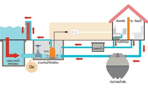 แก้ปัญหาน้ำท่วมบ้านด้วย ระบบป้องกันน้ำไหลย้อน