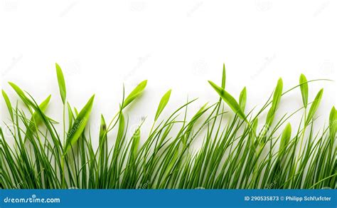 Vivid Photograph Of Grass Blades Texture Overlay On White Background