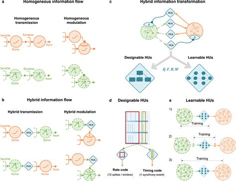 illustration of the proposed hnn framework a homogeneous information