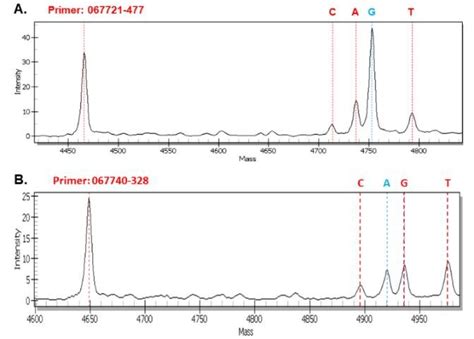 Representative Maldi Tof Mass Spectra Used To Distinguish Between The