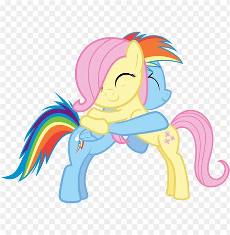 Mlp Fluttershy And Rainbow Dash Vector