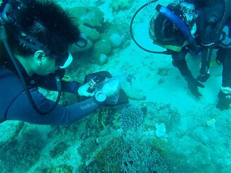 New Regional Training And Research Centre Conducted Its Pilot Scientific Diving Training Ioc