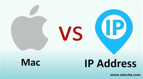 mac vs ip addresses top 12 comparision of mac vs ip addresses