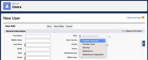 salesforce integration user license apex hours