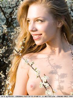 Naked Teen Sweetie Liv A Shows Her Private Parts In The Garden Beside A Blooming Tree